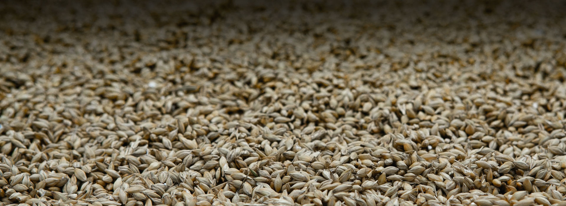 Accueil - France Semences